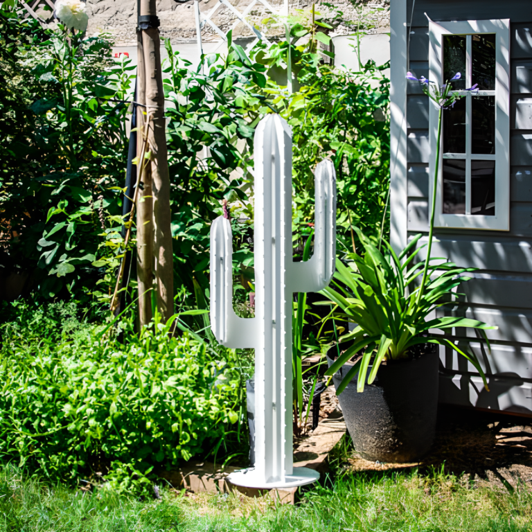 Cactus Petit / Moyen - AMCI DÉCO